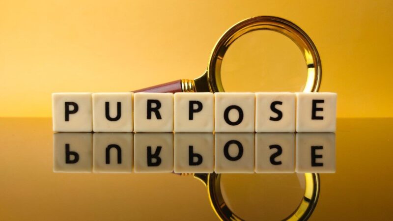 On Purpose, For a Purpose